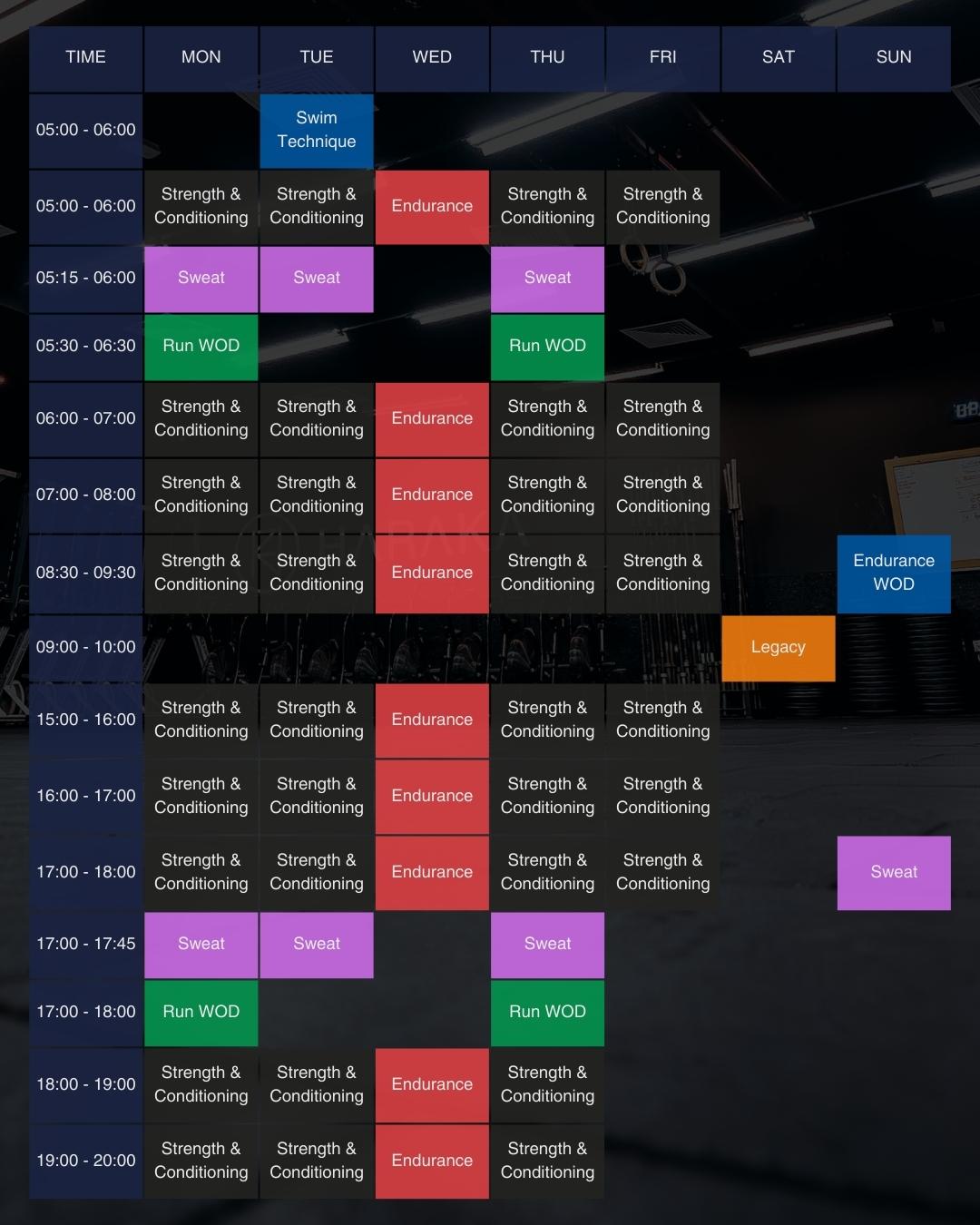 Gym & Physical Wellness – HARAKA